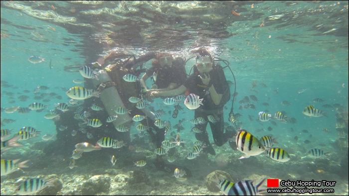Cebu Nalusuan island Discover Scuba Diving hopping tour - 27 Nov 2012 - CebuHoppingTour.com