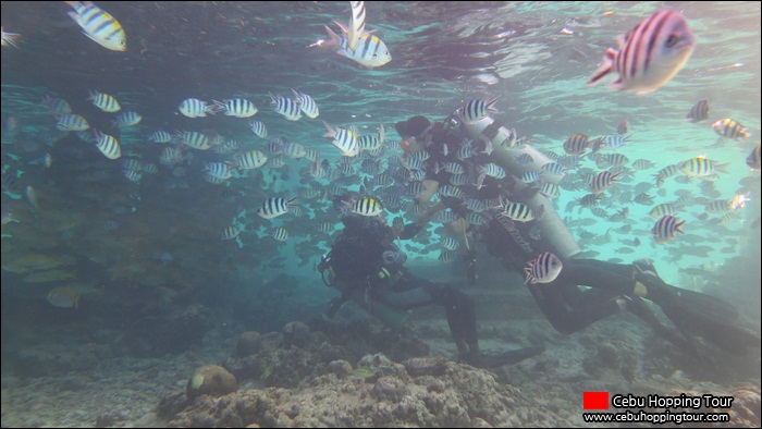 Cebu Nalusuan island Discover Scuba Diving hopping tour - 27 Nov 2012 - CebuHoppingTour.com